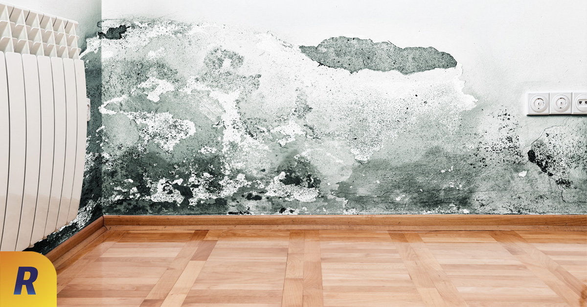 Rinitis por alergia a la humedad – Rinoebastel